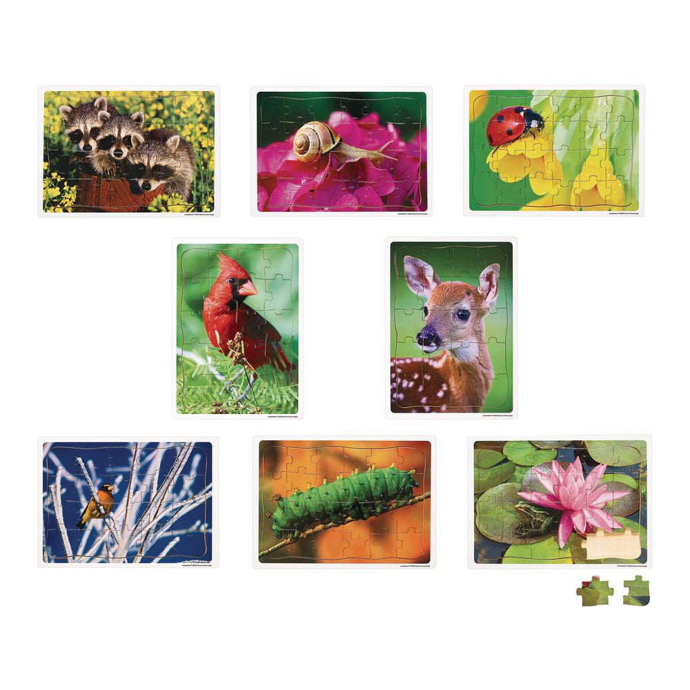 Excellerations Garden Creature Puzzles - Set of 8 - Walmart.com