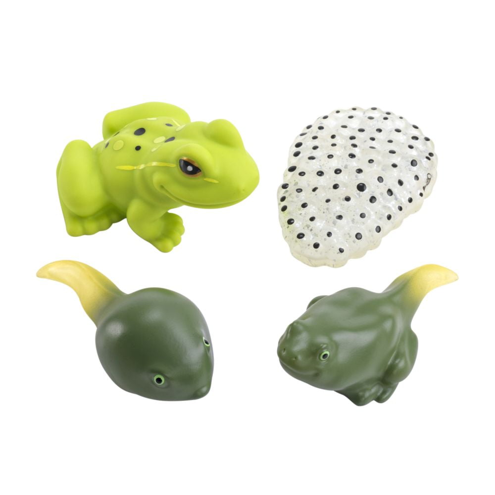 Excellerations earlySTEM My First Soft Frog Life Cycle - 4 Models ...