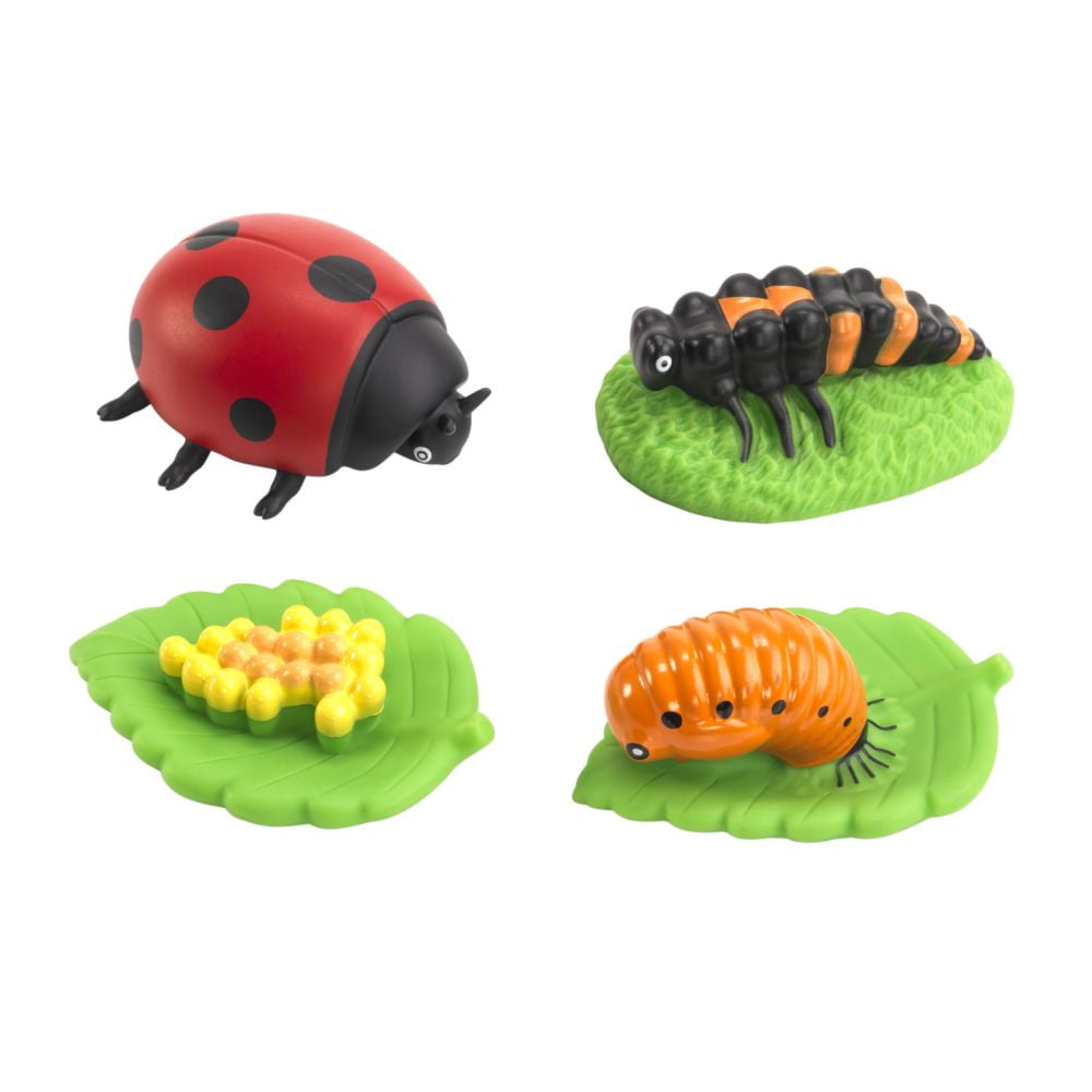 Excellerations earlySTEM My First Soft Ladybug Life Cycle - 4 Models ...