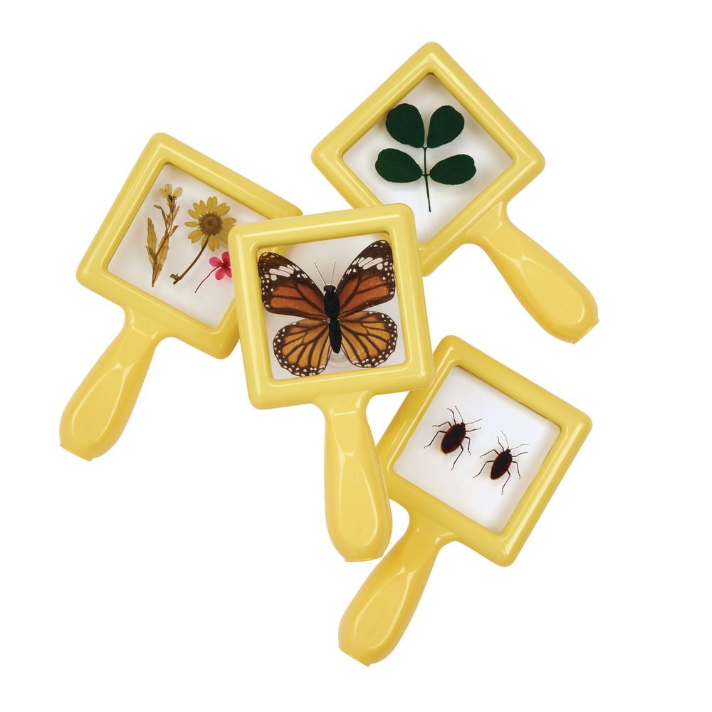 Free Shipping! Excellerations earlySTEM Specimen Viewers - Set of 4 ...