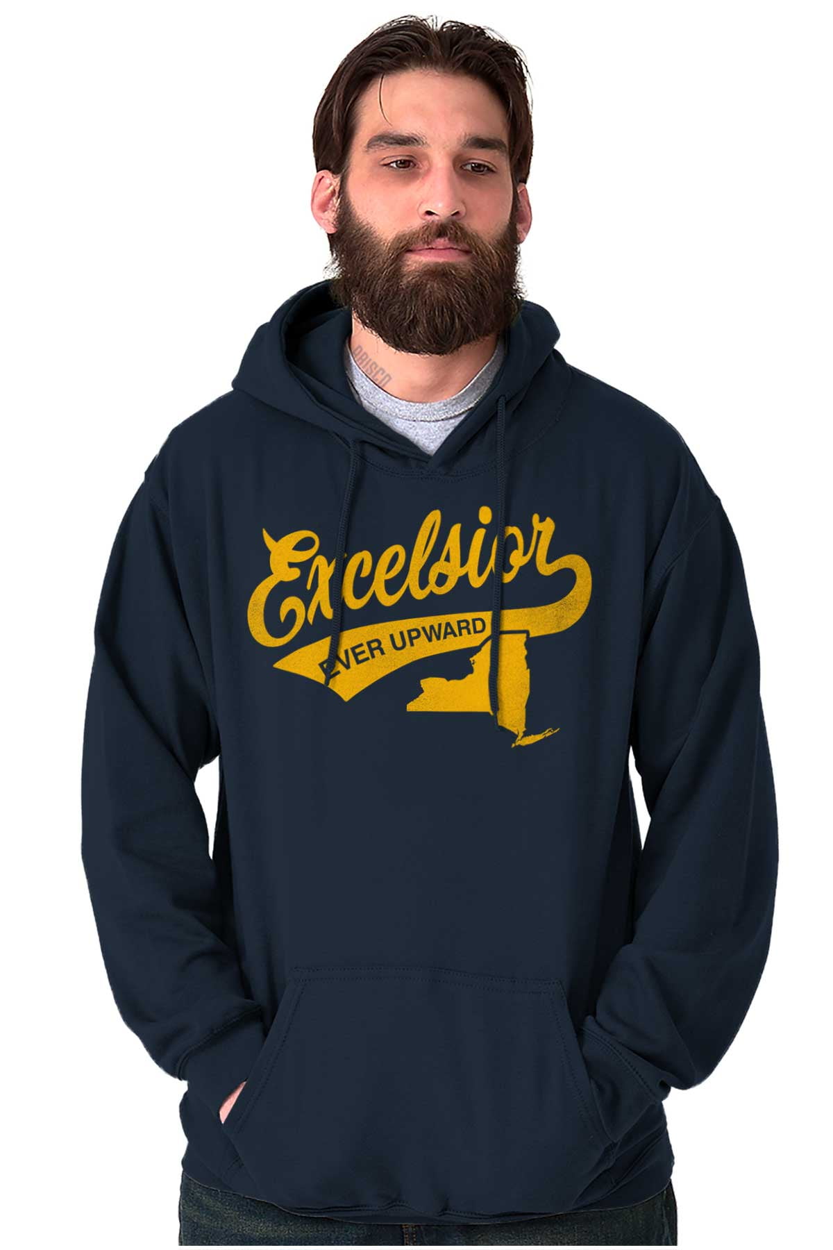Excelsior Ever Upward New York Motto Hoodie Sweatshirt Women Men Brisco ...