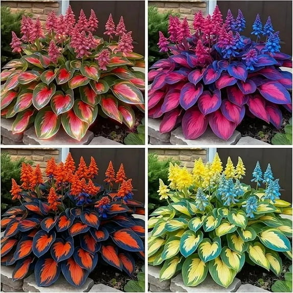 Exceptional-Hosta-Bulbs For Planting - Perfect For Borders, Premium ...