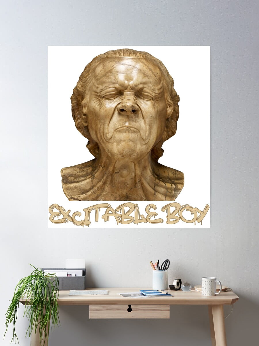 Excitable Boy Poster Wall Art, Modern Wall Decor For Living Room Bedroom, 8x12 UNFRAMED ...