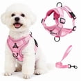 Exclusivo Mezcla Reflective Dog Harness, No Pull Pet Harness and Leash ...