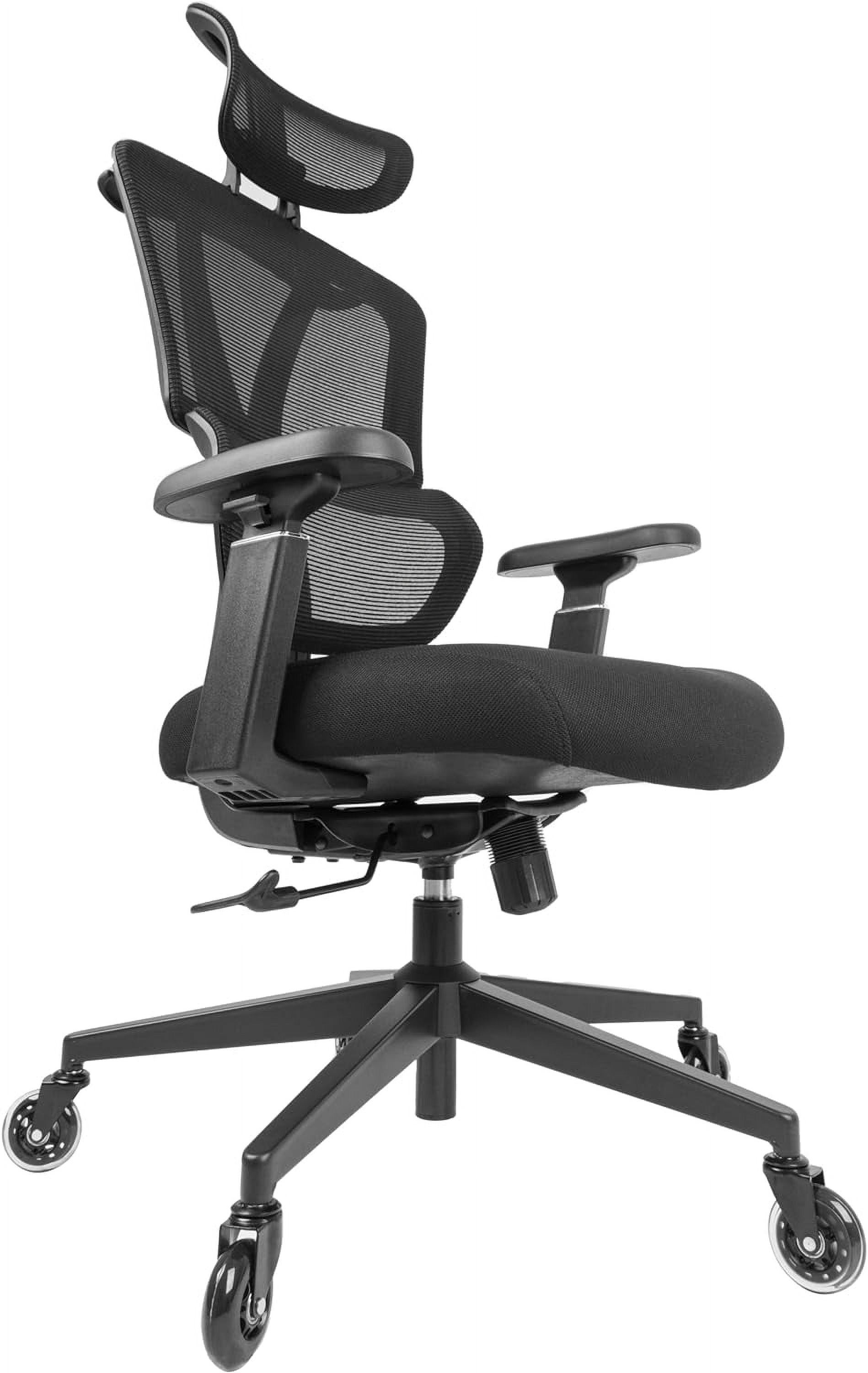 Executive Ergonomic Mesh Office Chair, High Back, Adjustable Headrest ...