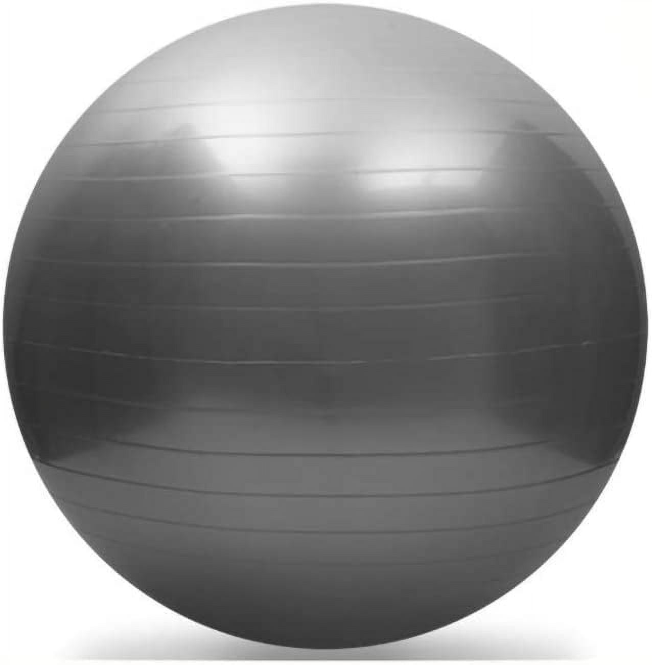 Exercise Ball (55-75cm) with Quick Foot Pump, Professional Grade Anti ...