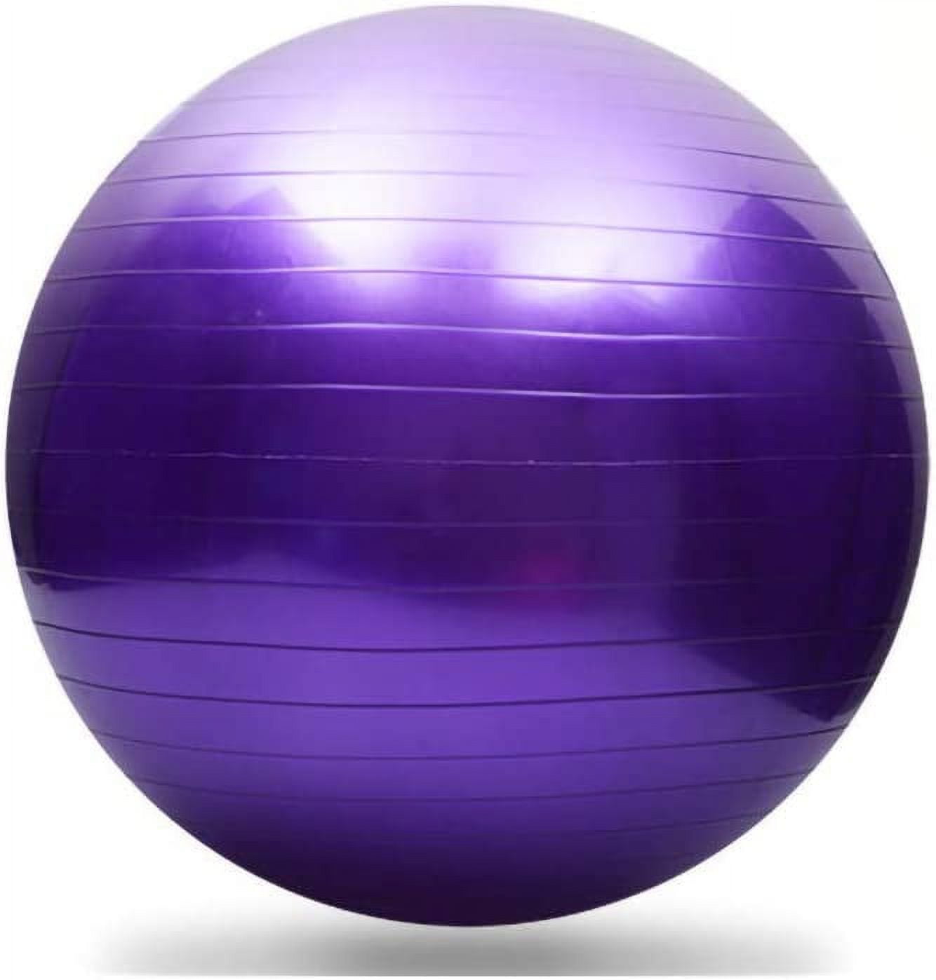 Exercise Ball (55-75cm) with Quick Foot Pump, Professional Grade Anti ...