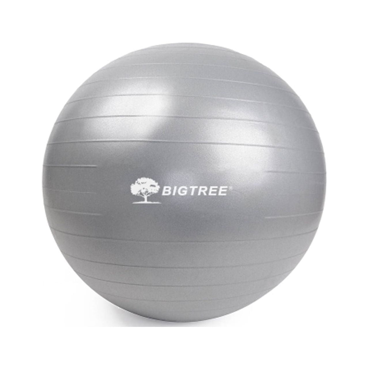 KAHOO 29.5'' Anti-Burst Inflatable Exercise Ball for Yoga, Gray ...