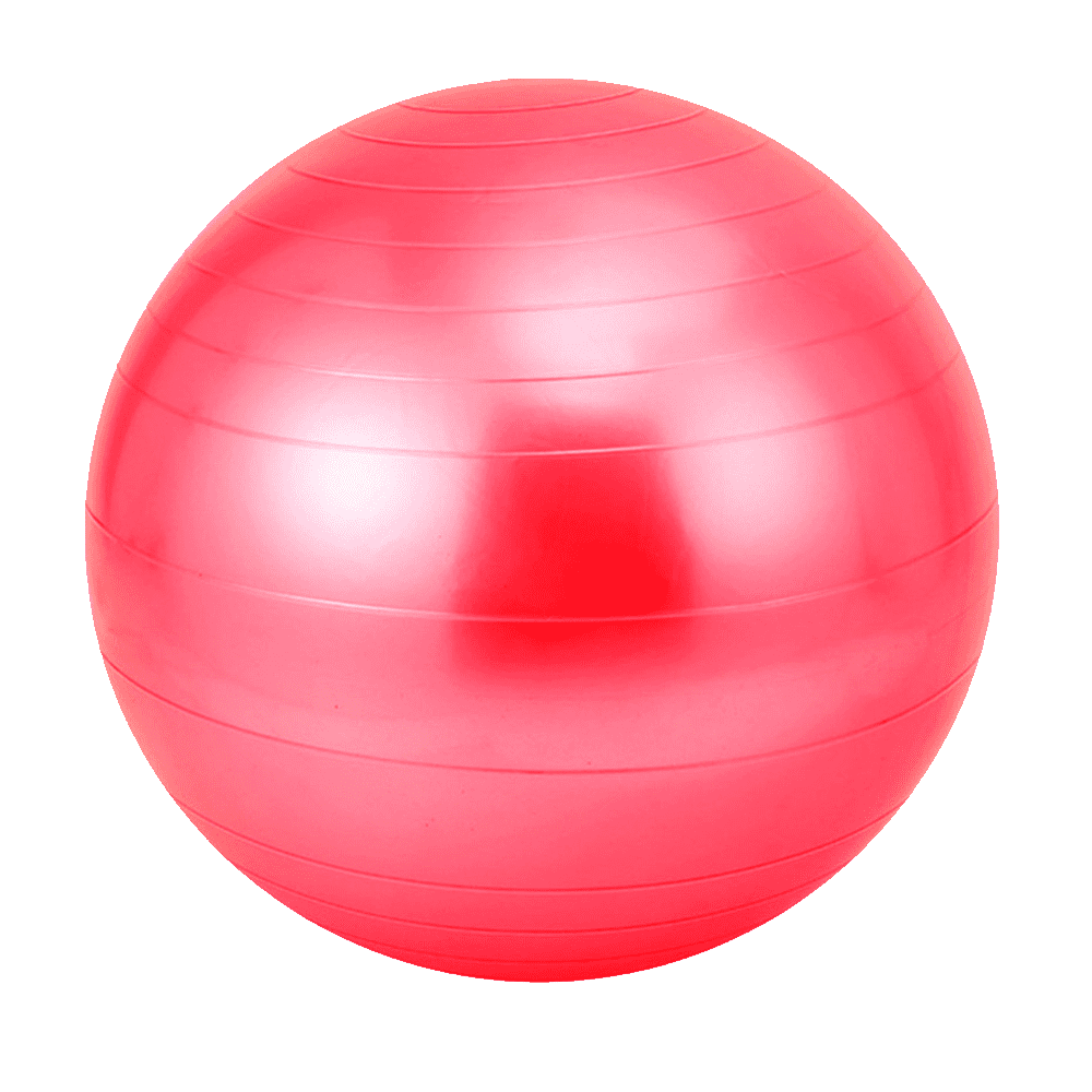 Exercise Ball-Heavy Duty Stability Ball -for Fitness,Workout,Gym-red ...