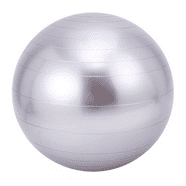 Reactor by Champion Barbell™ Handheld Fitness Ball - Walmart.com
