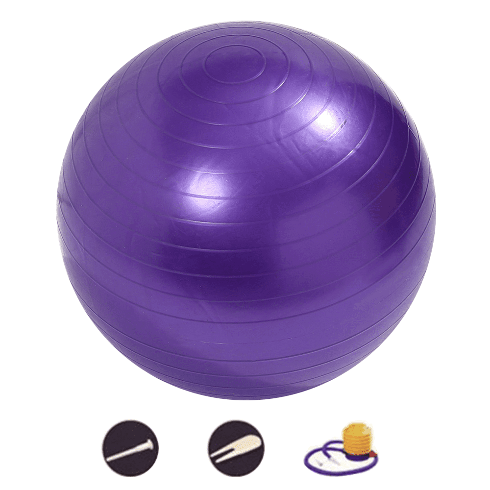 Exercise Ball for Physical Therapy, Swiss Ball Physio Ball for Rehab ...