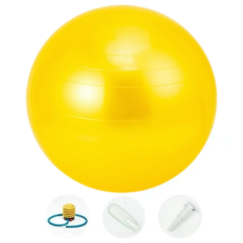 Exercise Ball Yoga Ball with Quick Foot Pump, Professional Grade Anti ...