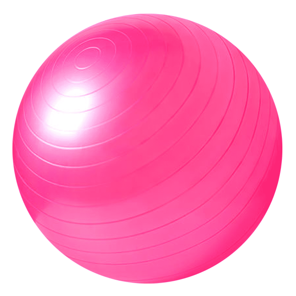 Exercise Ball Yoga Ball – Stability Ball for Home, Gym, Birthing Ball ...