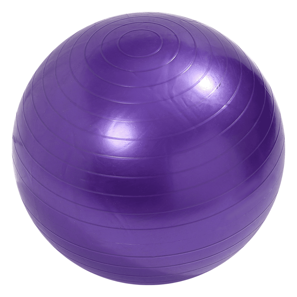 Exercise Ball Yoga Ball – Stability Ball for Home, Gym, Birthing Ball ...