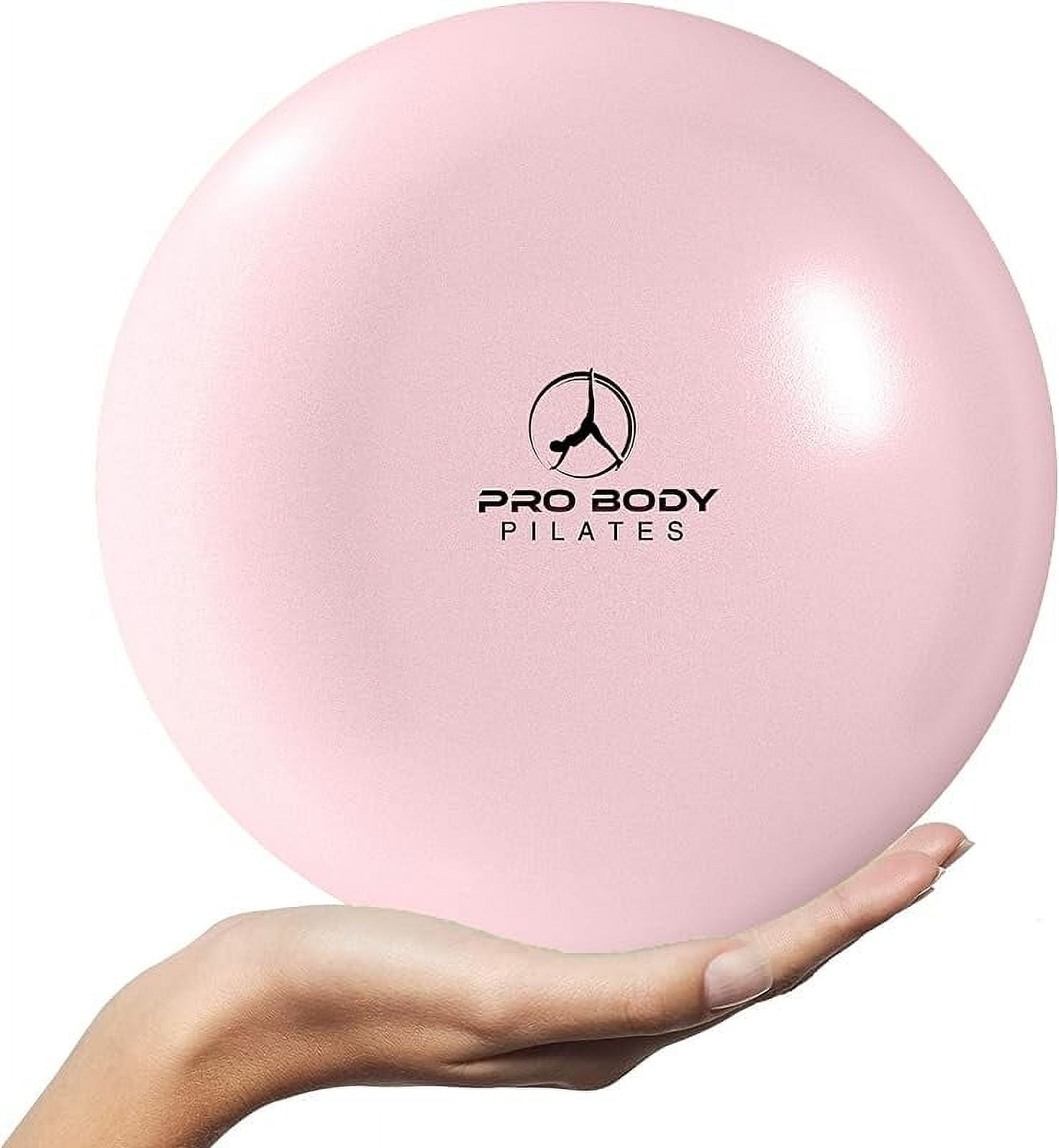 Exercise Balls Physical Therapy - 9 Inch Small Exercise Ball for ...