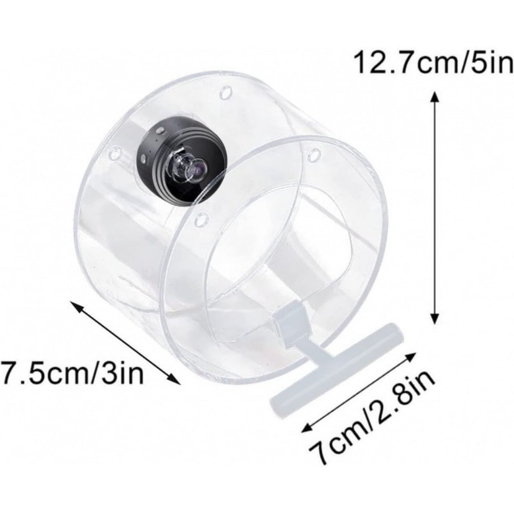 Exercise Wheel For Small Animals, Clear Acrylic With Dual-Bearing ...