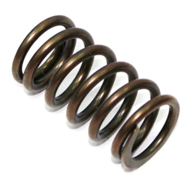 Exhaust & Intake Spring - Walmart.com