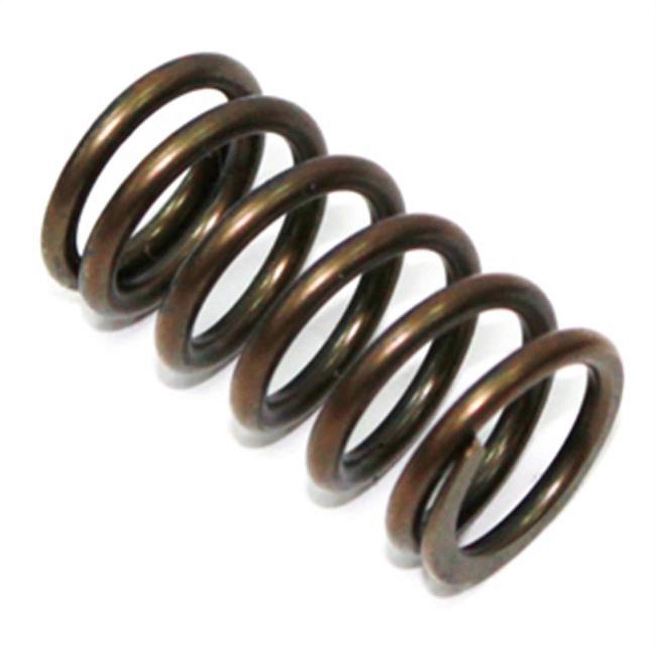 Exhaust & Intake Spring - Walmart.com