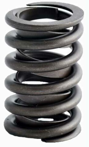 Exhaust Valve Springs (4 Count) | Compatible with GM/Chevrolet - With ...