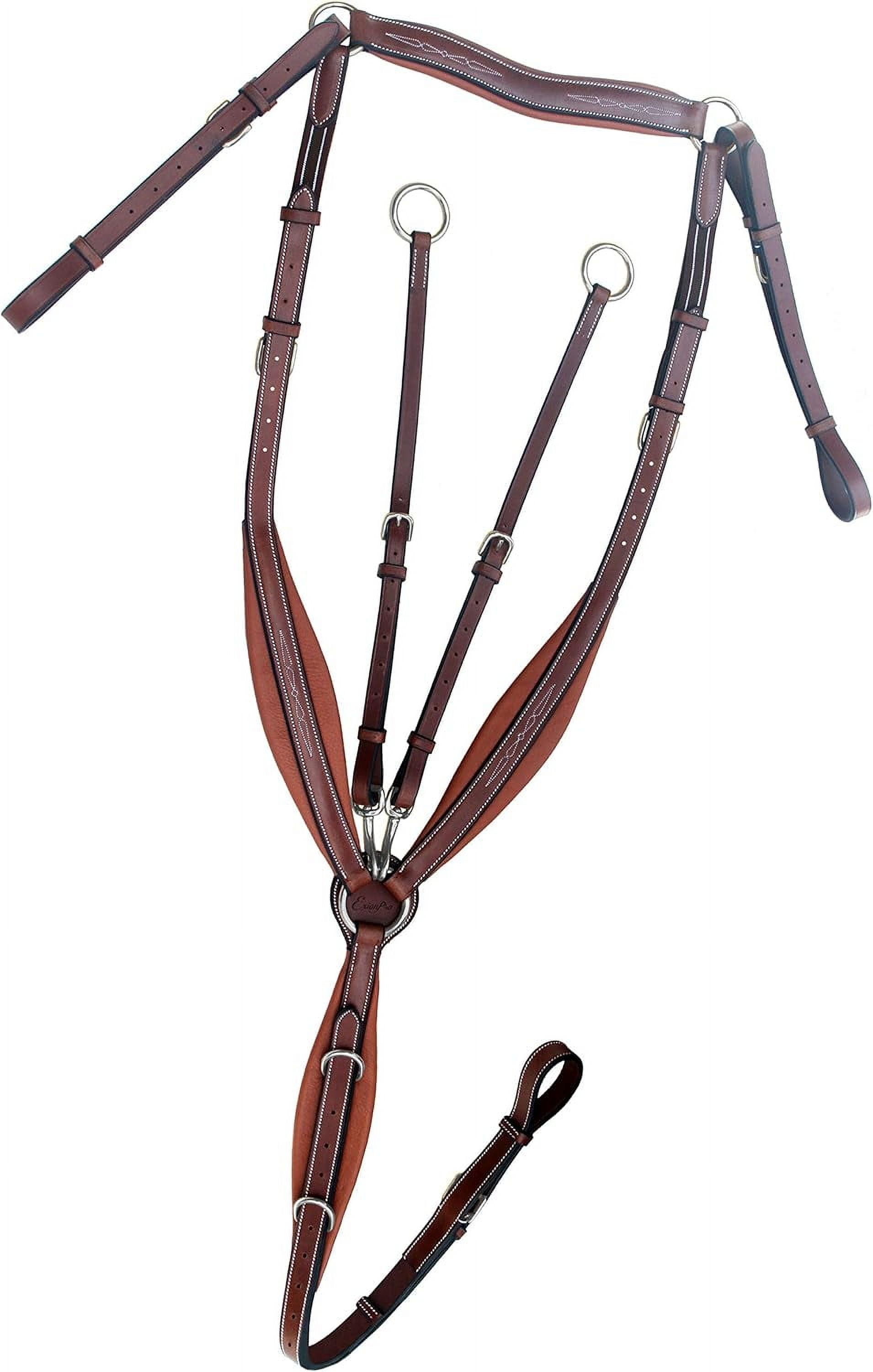 Exion Designer Horse Breastplate/English Breast Collar for Horse ...