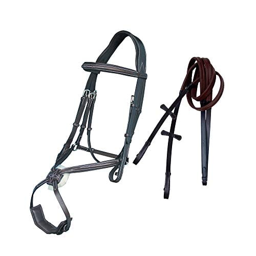 Exion Designer Soft Lined Figure 8 English Bridle for Horses | Anatomic ...