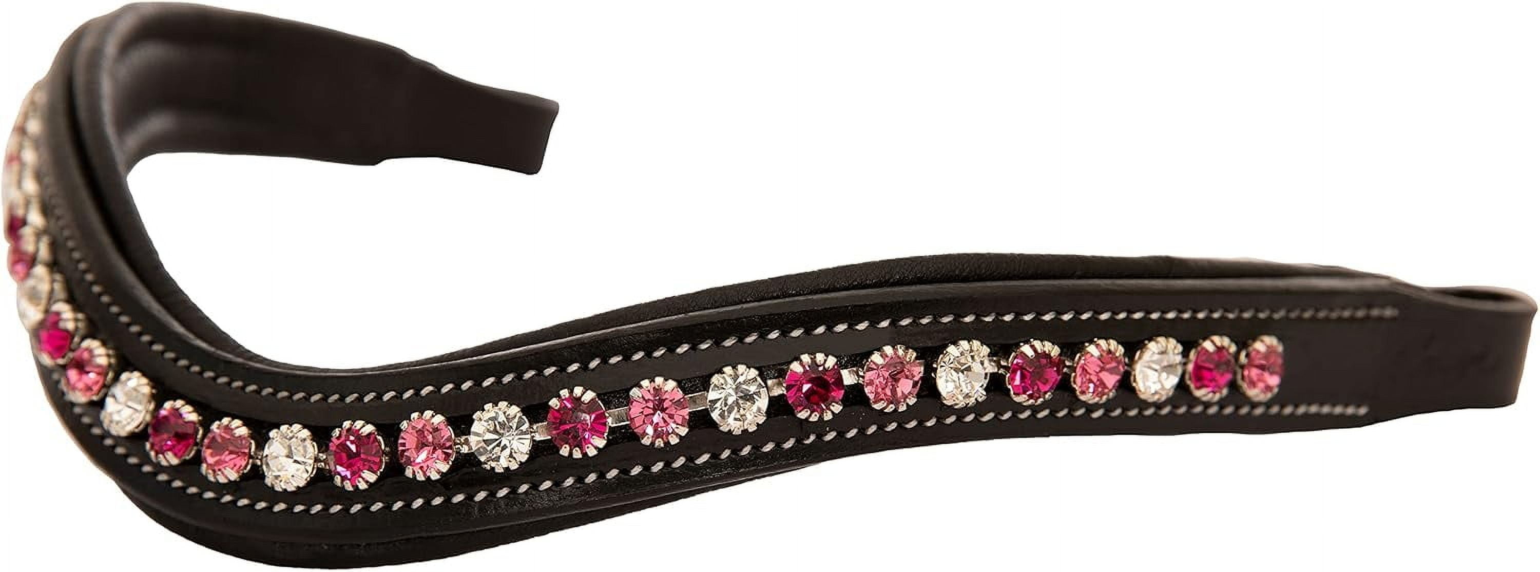 Exion Horse Browband For English Bridle | Curved Shape Padded ...