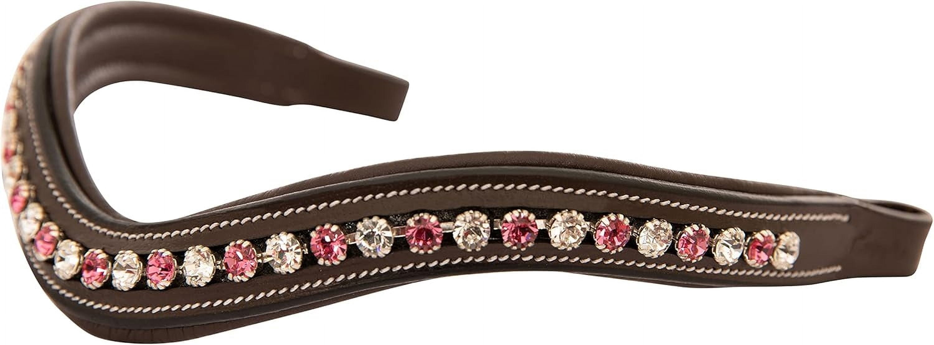 Exion Horse Browband For English Bridle | Curved Shape Padded ...