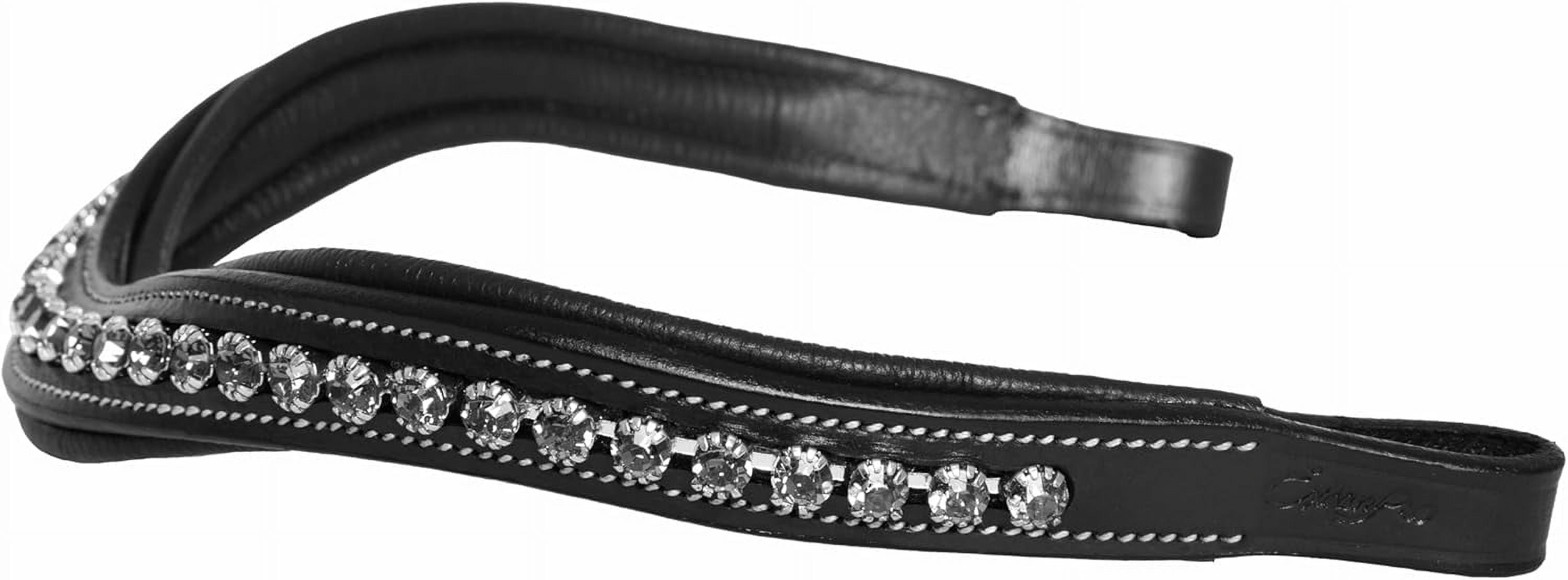 Exion Horse Browband For English Bridle | Curved Shape Padded Equestrian Browband For Show ...