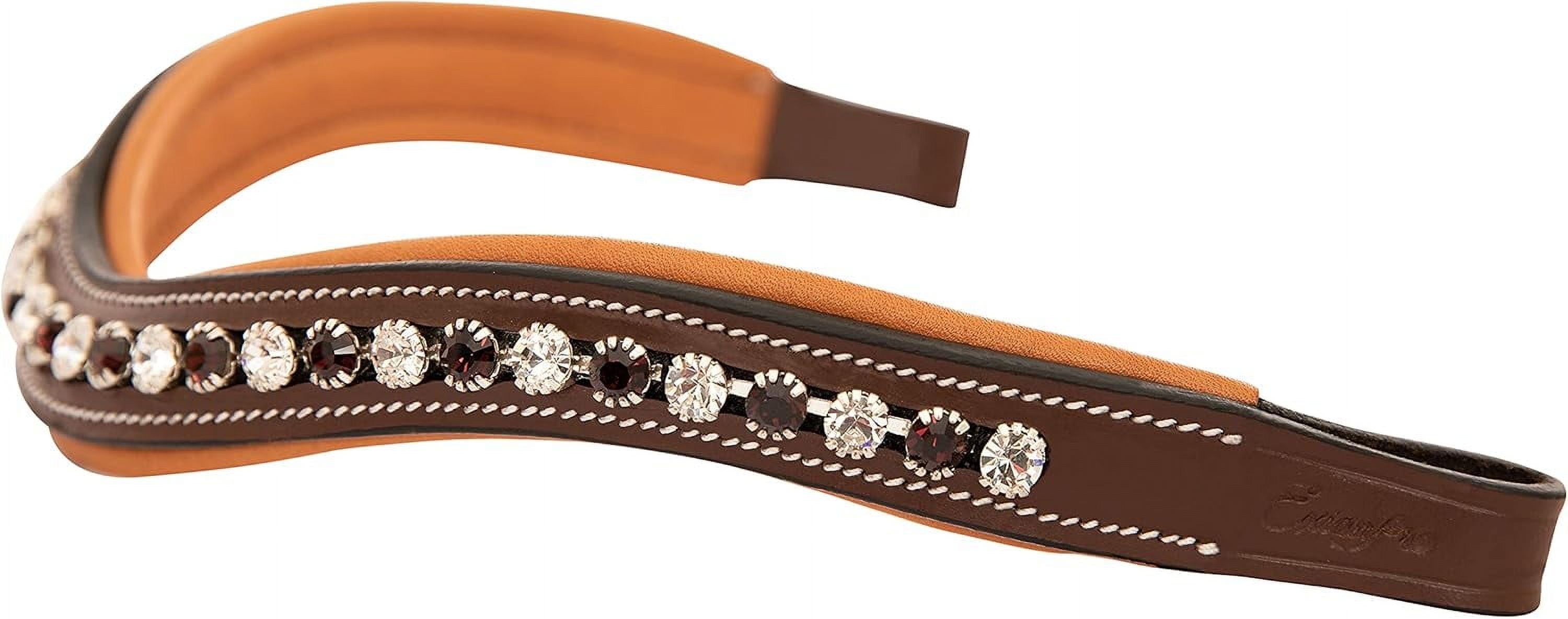 Exion Horse Browband For English Bridle | Curved Shape Padded ...