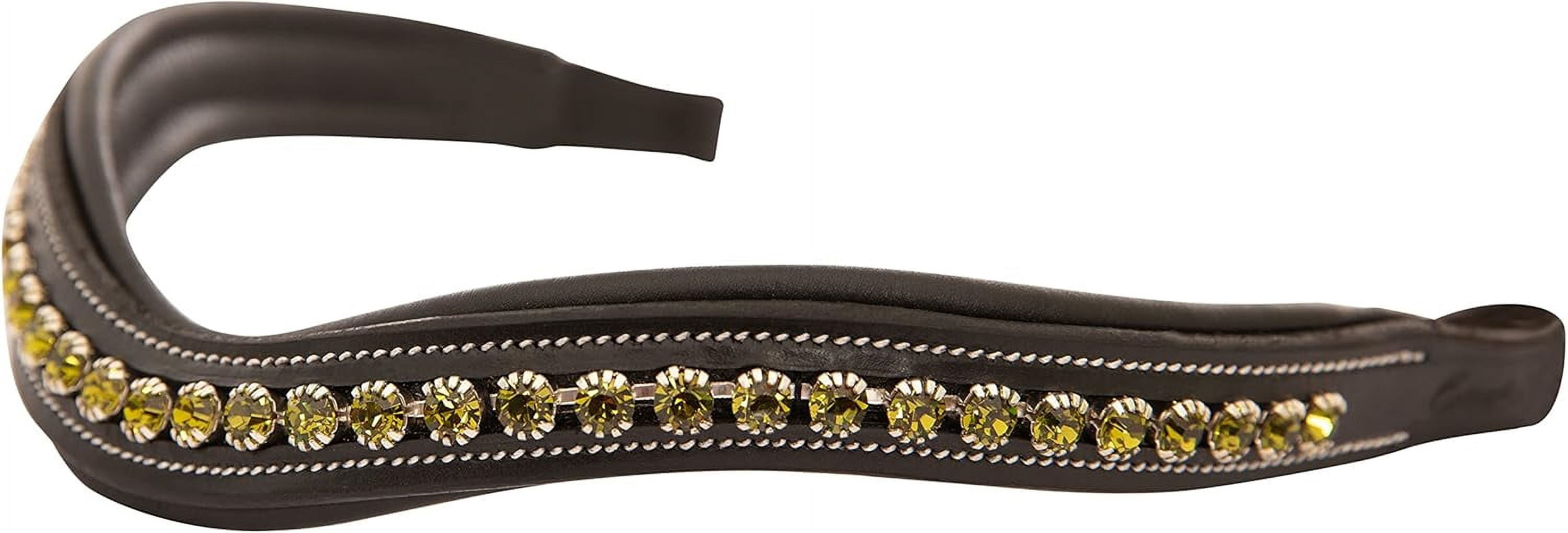 Exion Horse Browband For English Bridle | Curved Shape Padded ...