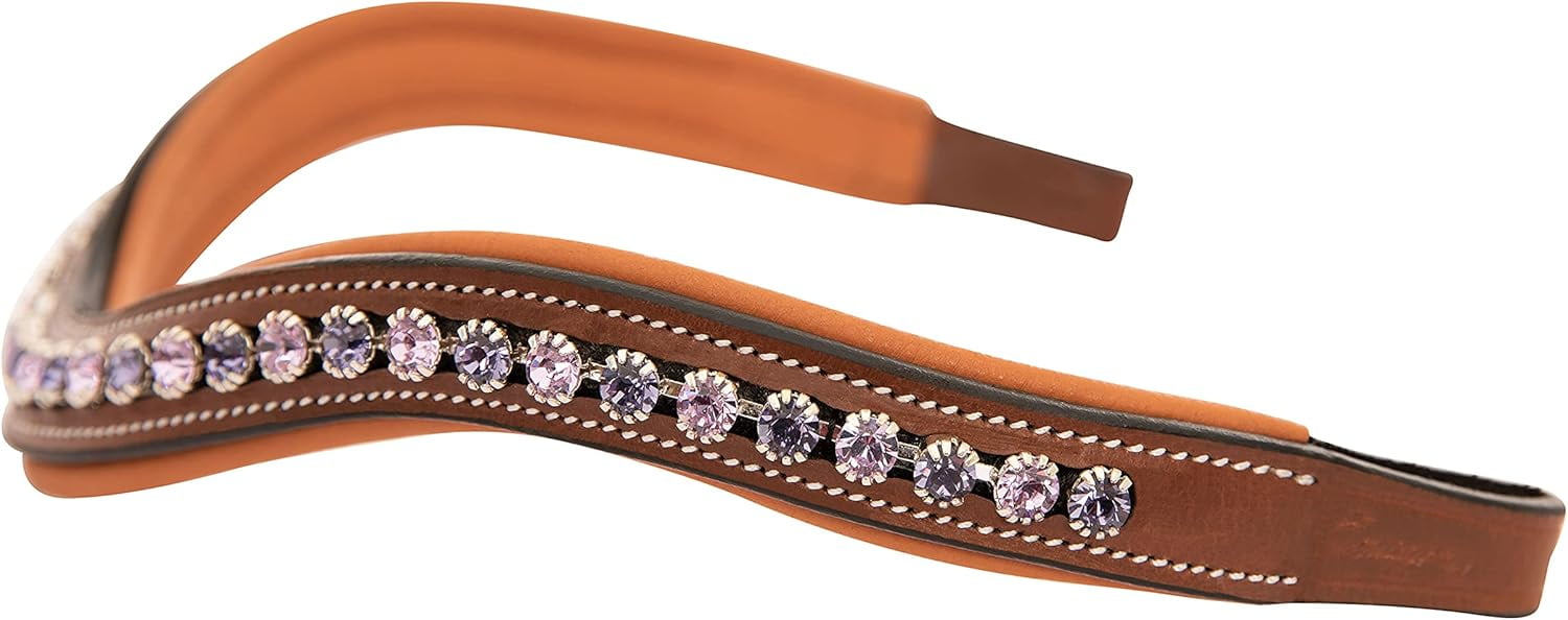 Exion Horse Browband For English Bridle | Curved Shape Padded ...