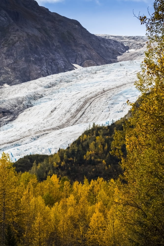 Exit Glacier surrounded by autumn coloured foliage, South-central ...