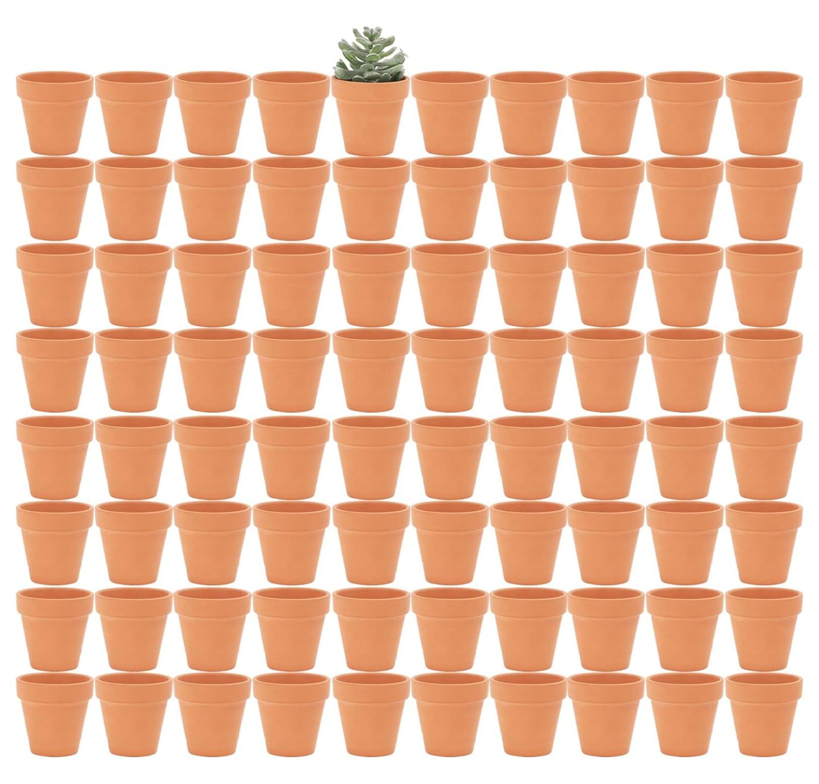 Exlonjet 2 inch Small Terracotta Pots with Drainage Holes,Mini Clay ...