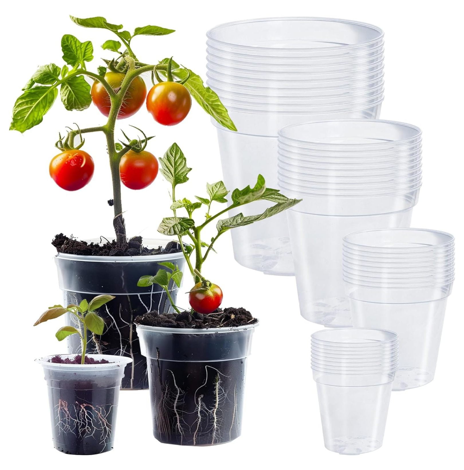 Exlonjet 36 Pack 4/5/6/7 Inch Clear Nursery Pots for Plants, Plant Pots with Drainage Holes ...
