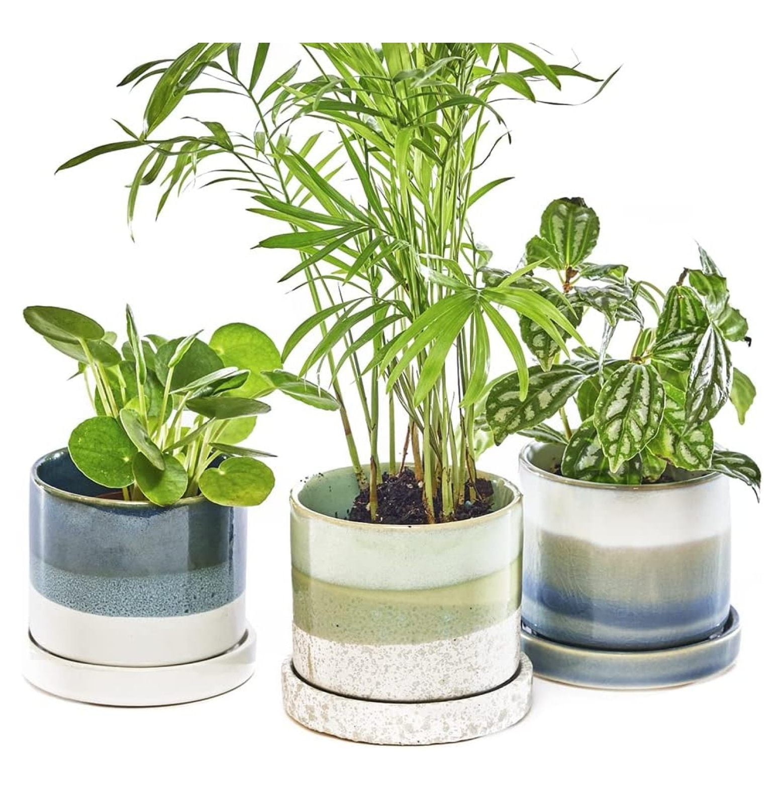 Exlonjet ‘Minute’ Ceramic Succulent Planters — Set of 3 — 3” Indoor ...