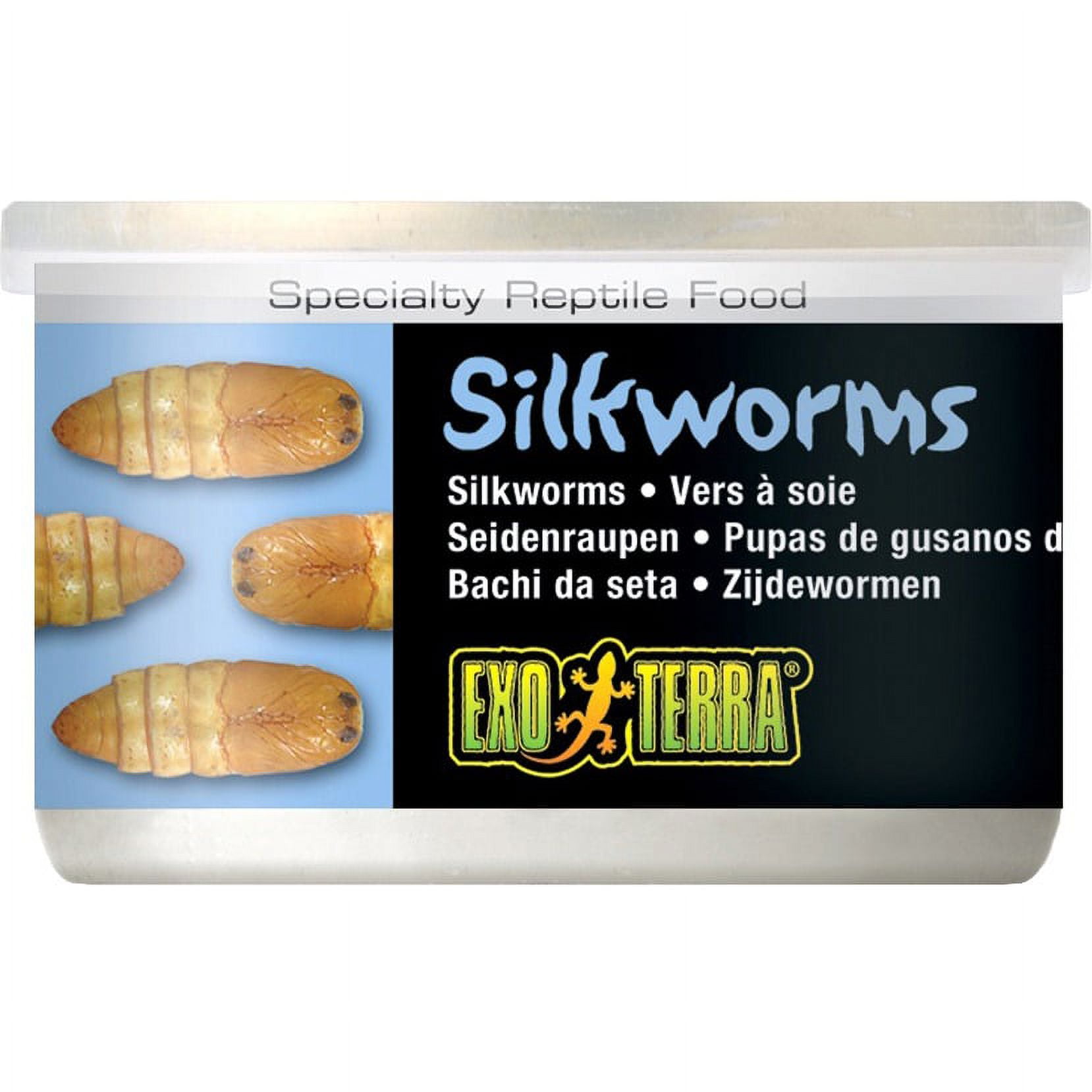 Exo Terra Canned Silkworms Specialty Reptile Food - DS - Walmart.com