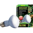 Exo Terra Sun-Glo Basking Spot Lamp 25 Watts Standard Packaging ...