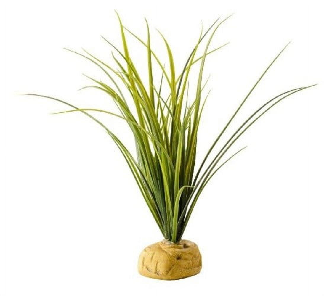 Exo Terra Turtle Grass Plant - Walmart.com