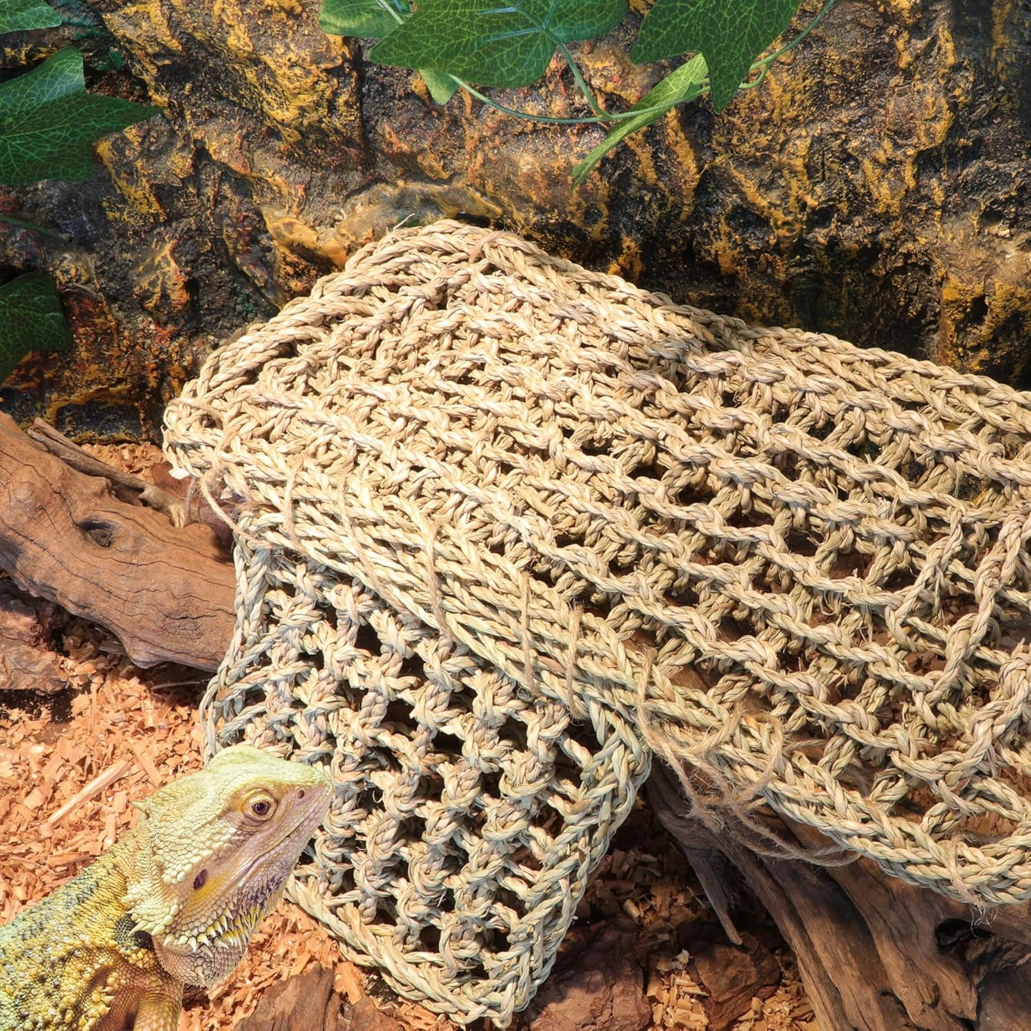 ExoRepti Bearded Dragon Hammock Lizard Tank Accessories Reptile Lounger ...