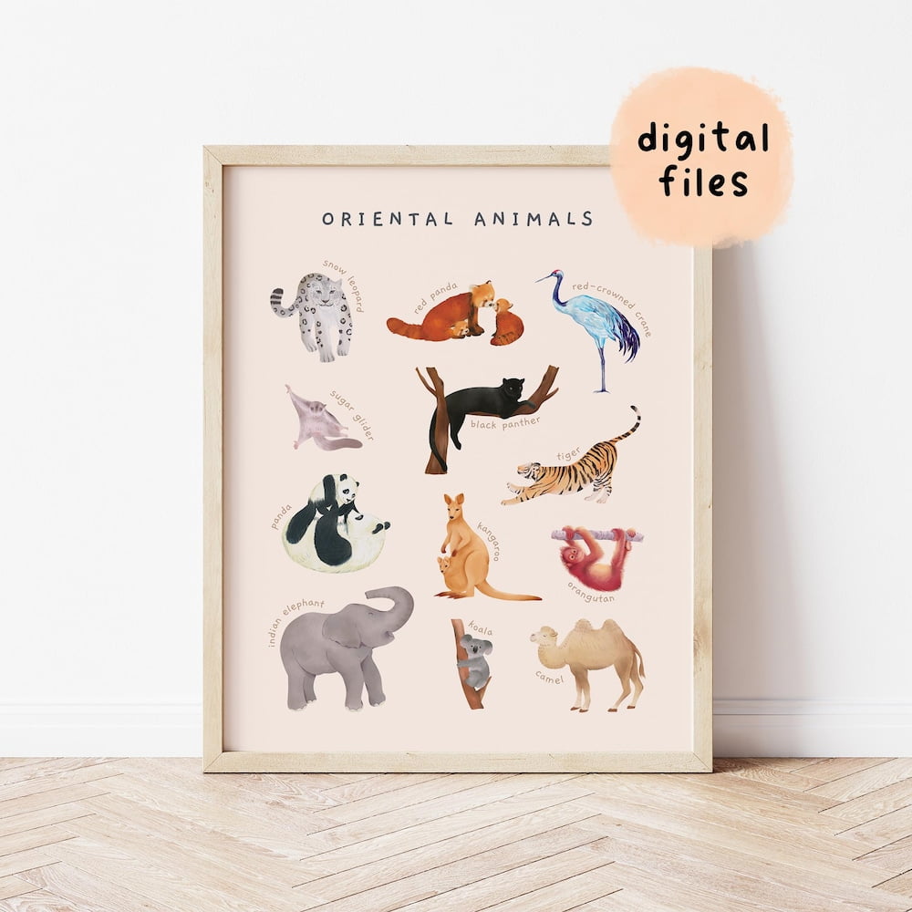 Exotic Animals Educational Poster, Watercolor Asian Animals Print, Hand ...