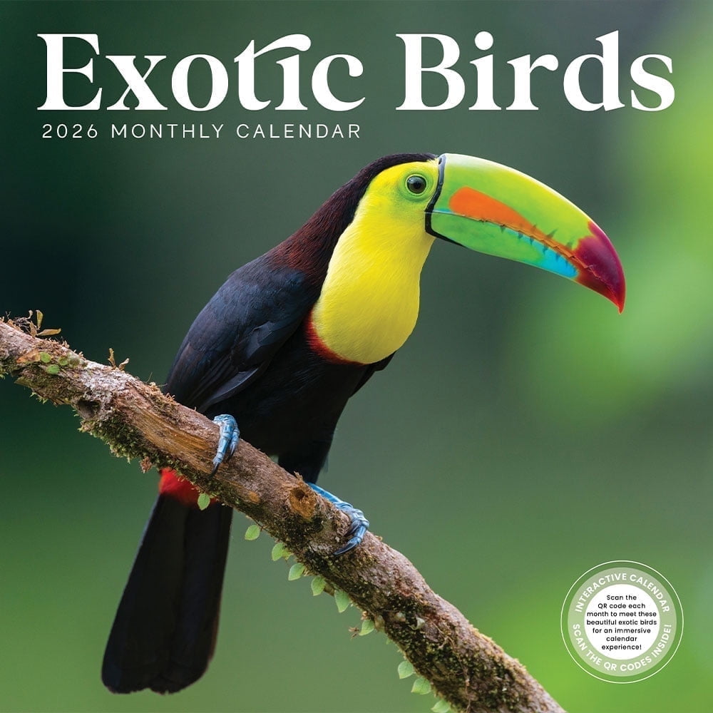 Exotic Birds Calendar 2026 | 12” x 24” Wall Calendar 16 Month | Marble ...
