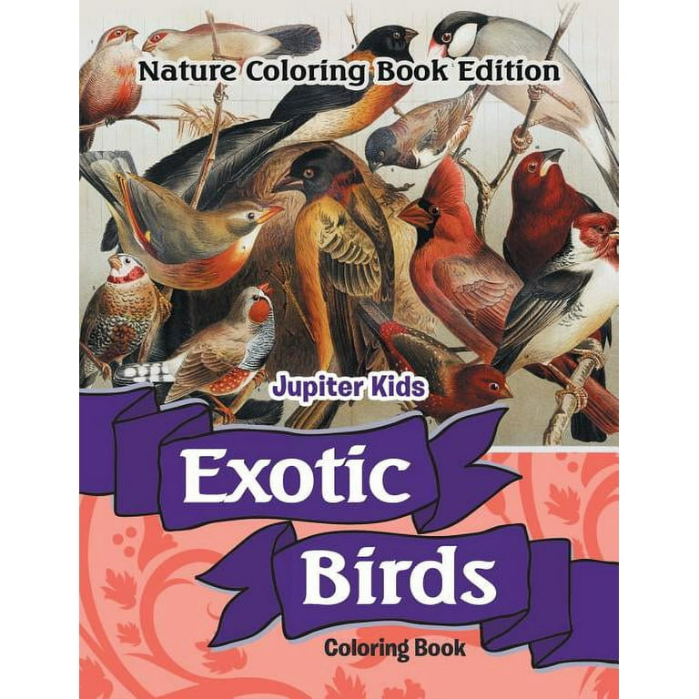 exotic birds coloring book