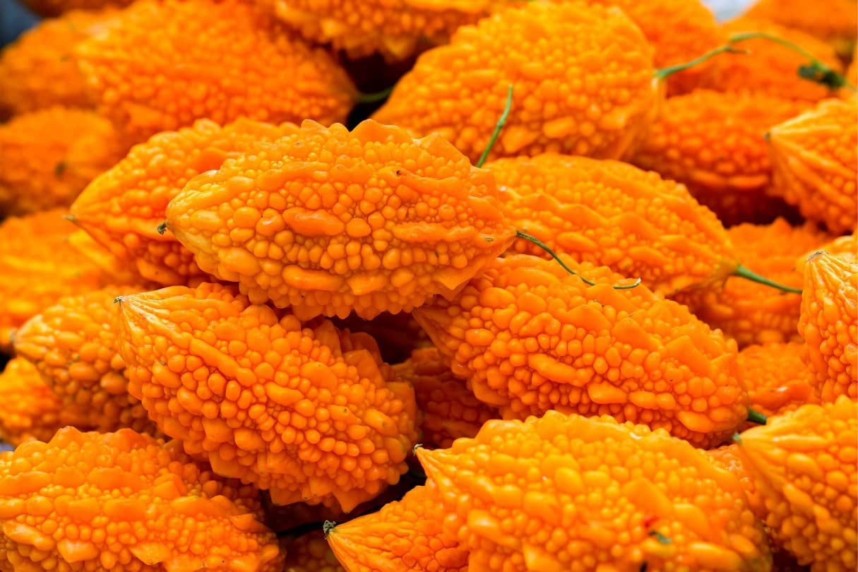 CZ Grain 10 Exotic Bitter Gourd Vine Plant Seeds - Walmart.com