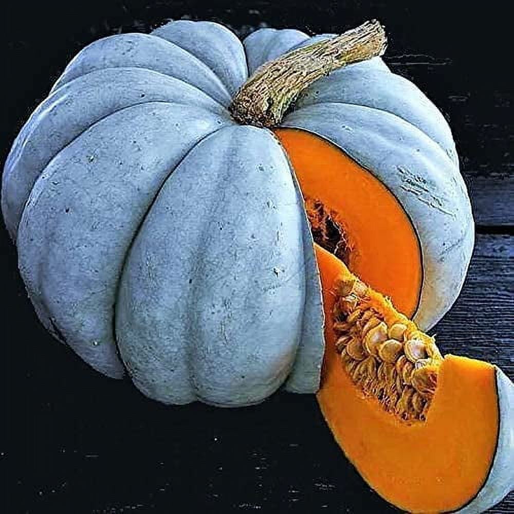 Exotic Blue Jarrahdale Pumpkin Seeds for Garden Planting | 10 Seeds ...