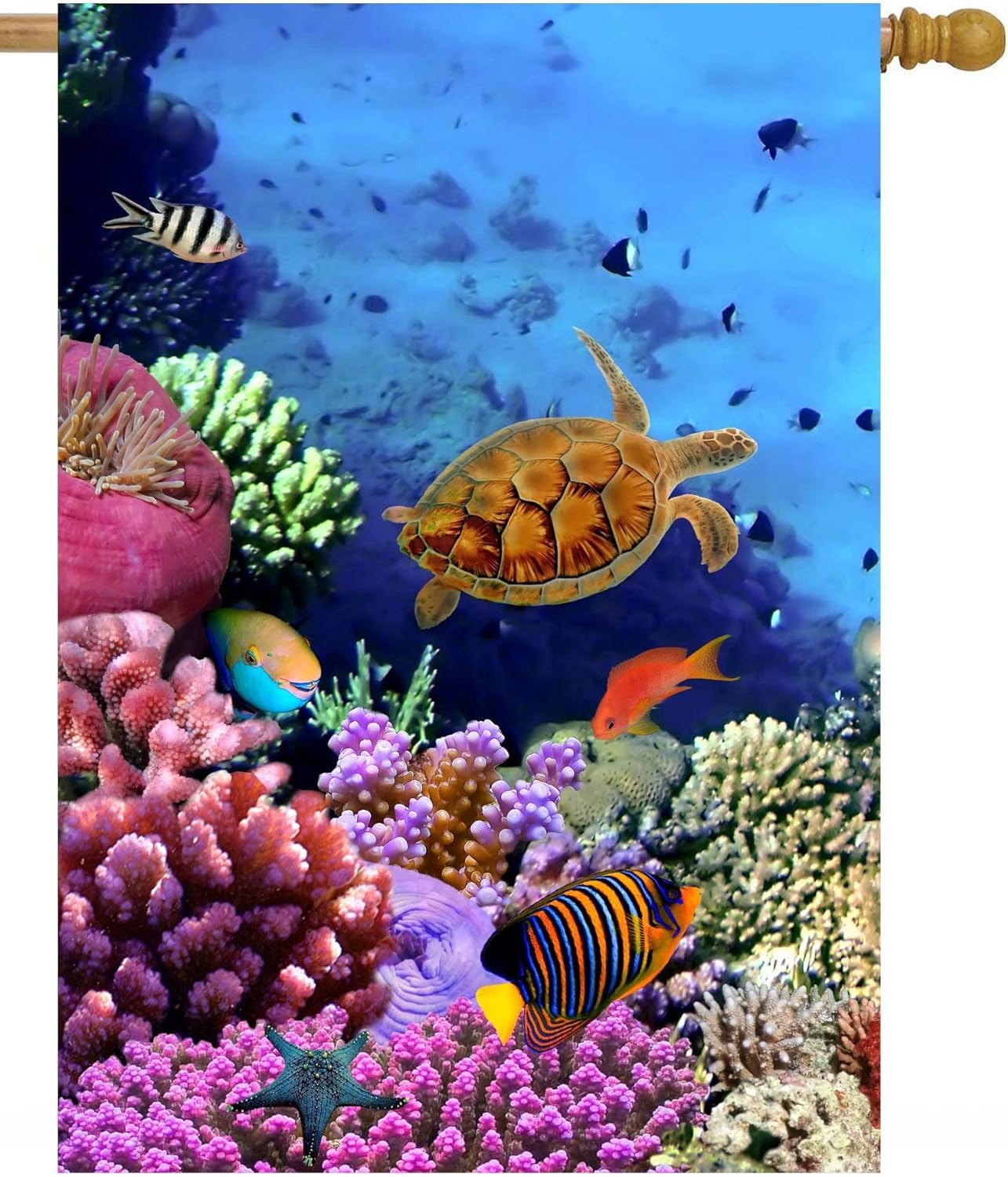 Exotic Blue Summer Ocean Sea Turtle Underwater Life Coral Reef Fish ...