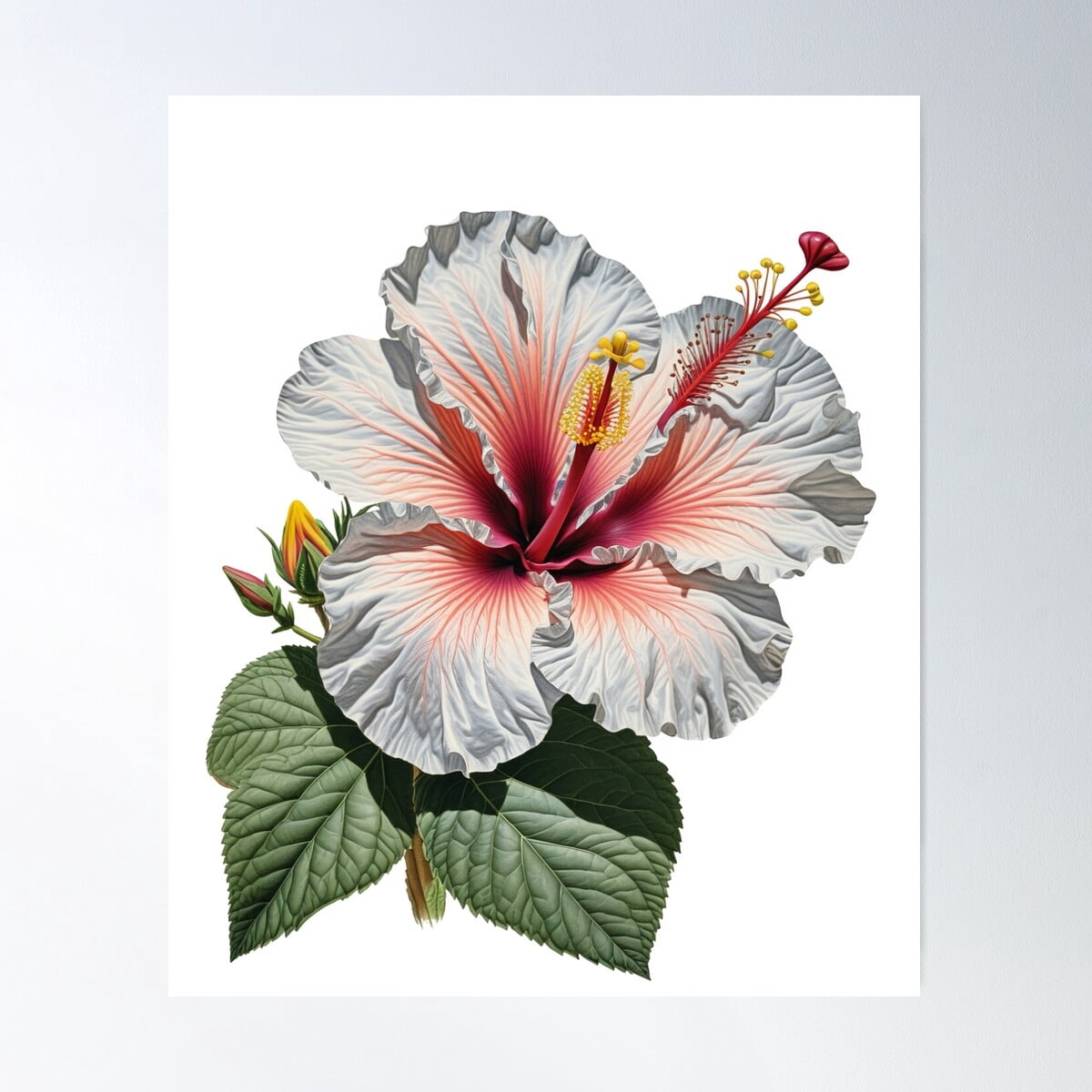Exotic Hibiscus Flower Sketch Poster Wall Art, Modern Wall Decor For ...