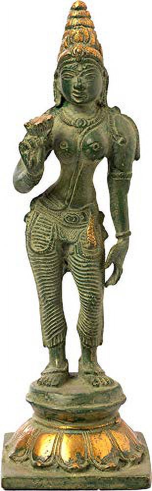 Exotic India Standing Parvati Holding a Lotus - Brass Statue - Walmart.com