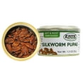 Exotic Nutrition Canned Silkworm Pupae 1.2 oz. - Walmart.com