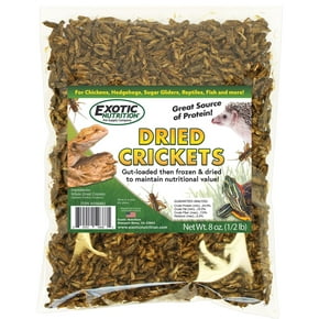 Live Crickets