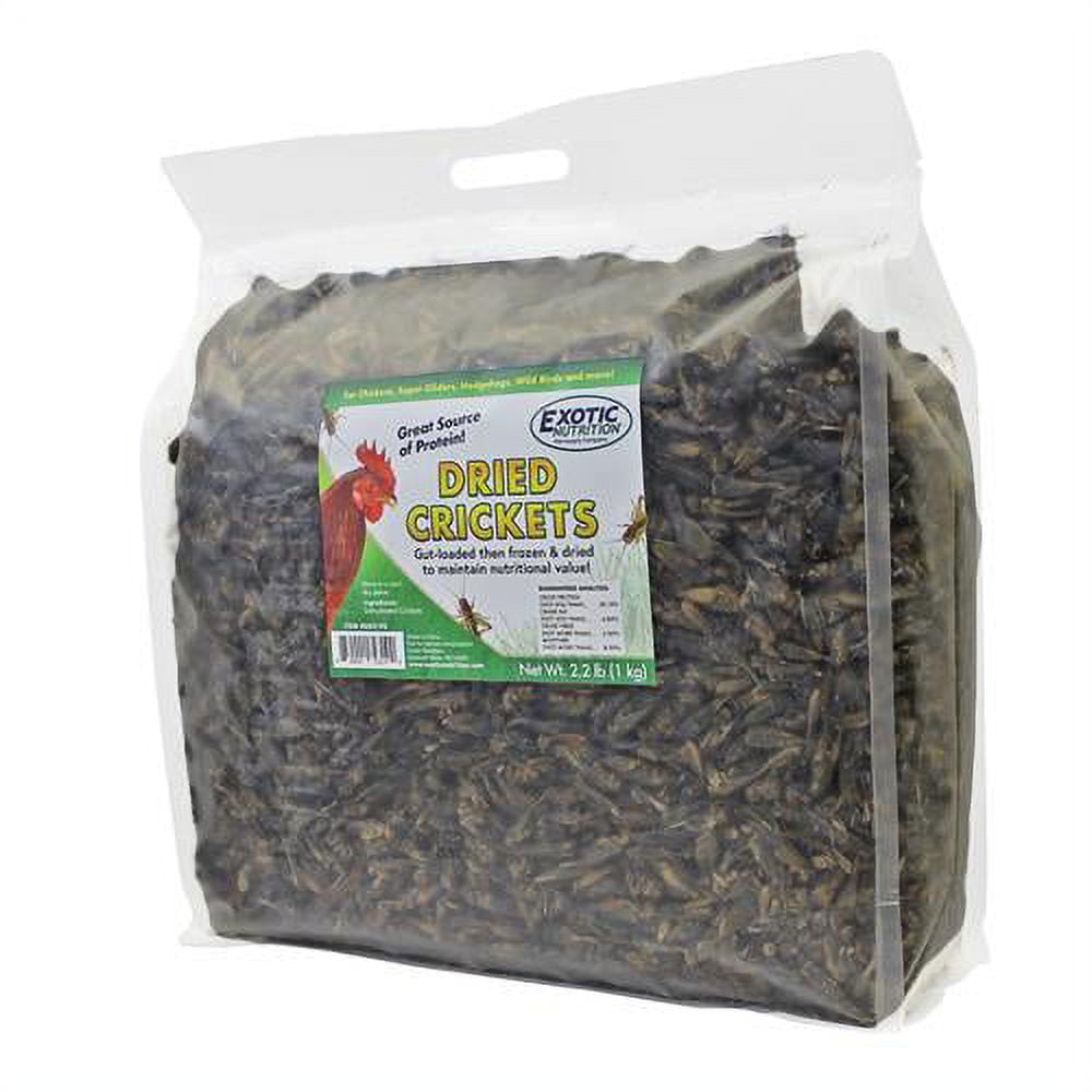 Exotic Nutrition Bulk Dried Crickets 2.2 lb - Food for Chickens ...